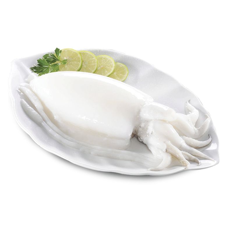 Ocean Sea Premium Seafood - Dong Sing Food Link